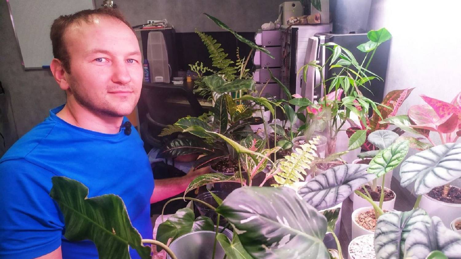 Цветочные новости октябрь