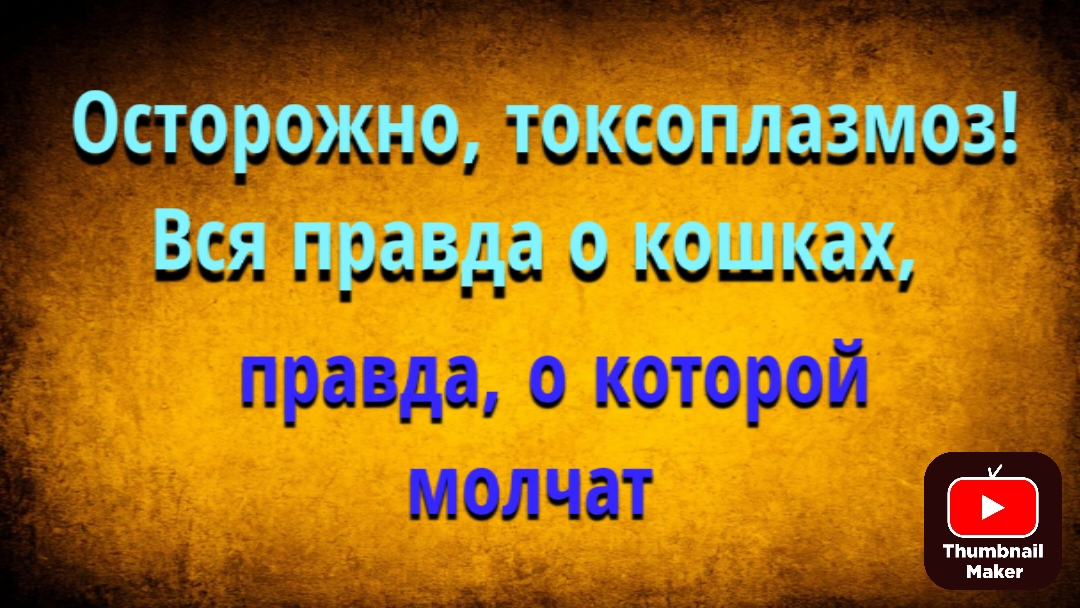 Опасен ли ваш кот?
