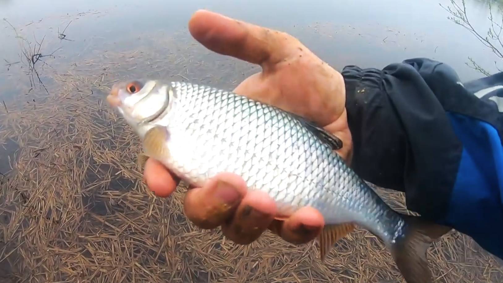 ТАКУЮ РЫБАЛКУ ЖДЕШЬ! КРУПНАЯ ПЛОТВА НА УДОЧКУ ВЕСНОЙ (2020 г)