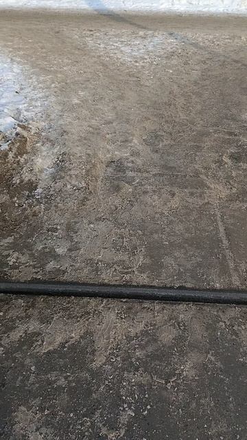 №151. ул. Белинского. 25 февраля 2025 г., 10:04:16. VID_20250225_100253115