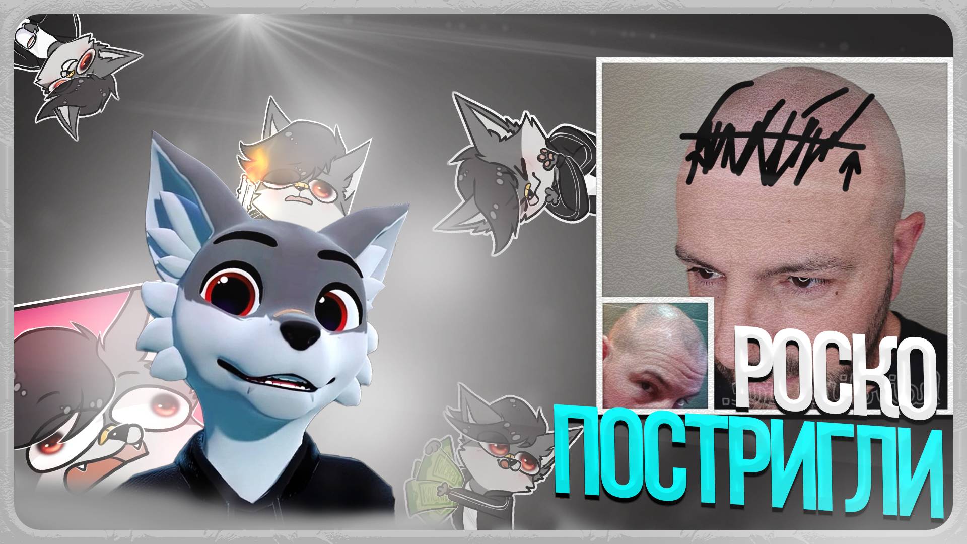 🐺 Роско о своём походе в парикмахерскую ✂️