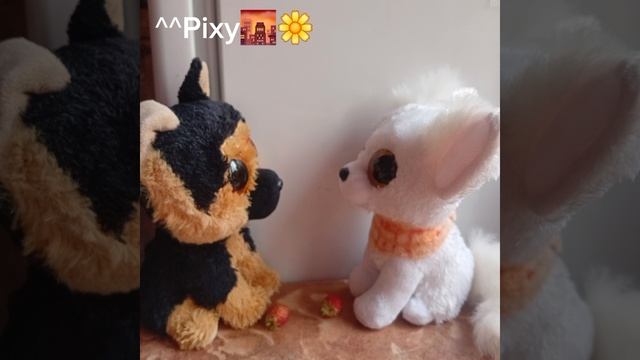 Утренний влог^^