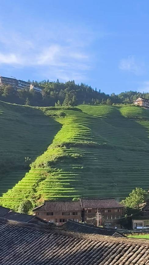 Рисовые террасы Лунцзи вечер и утро