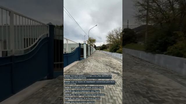 ХОСТА!  СОЧИ!  УТРО!