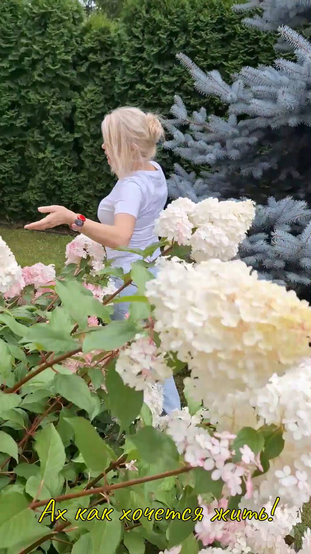Ах, как хочется жить!🙂 #песня #настроение #цветы
