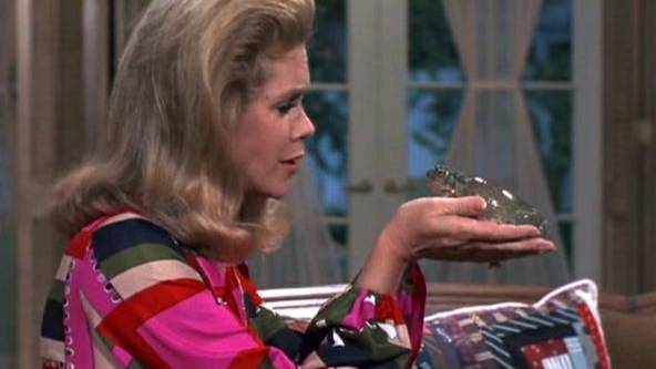 Сериал Моя жена меня приворожила - 7 сезон 9 серия / Bewitched