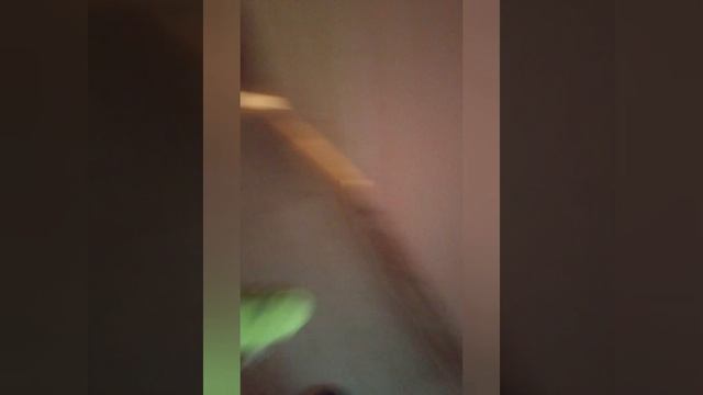 СКУЛБОЙ АКТ 3. КУДА ПРОПАЛИ ИГОРЬ И ВИКА (1 серия)