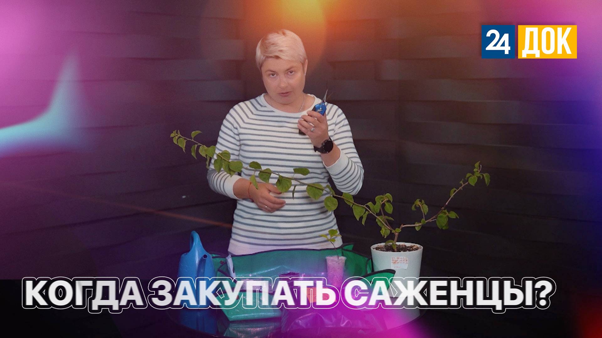 Плюсы и минусы осенней и весенней посадки саженцев. ЗЕМЛЕХОД