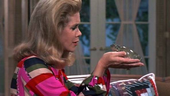 Сериал Моя жена меня приворожила - 7 сезон 1 серия / Bewitched