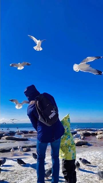 Снова кормим чаек😍