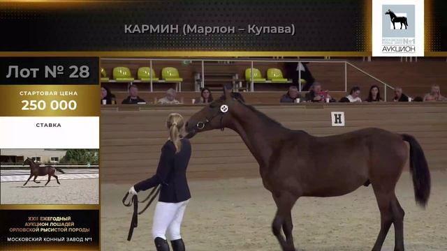 XXII Ежегодный аукцион лошадей орловской рысистой породы на МКЗ №1