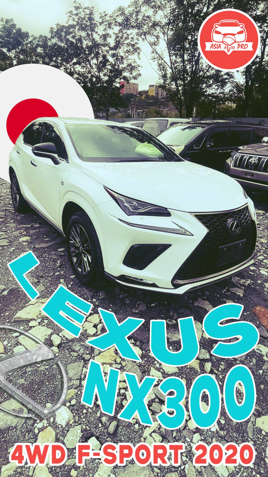 Lexus NX300 2020