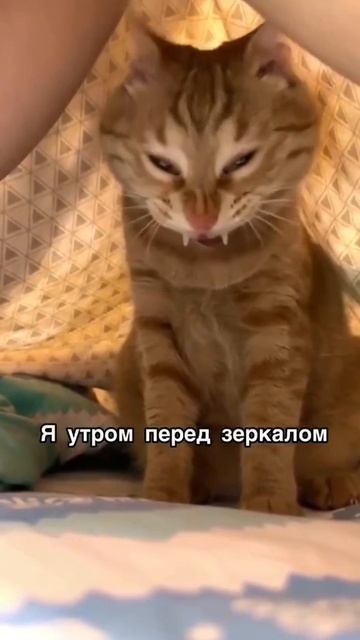 Психолог сказал начинать день с улыбки