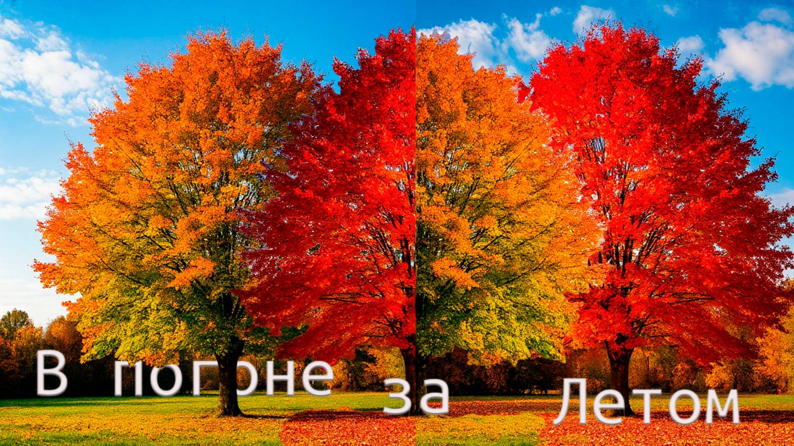 В погоне за летом.