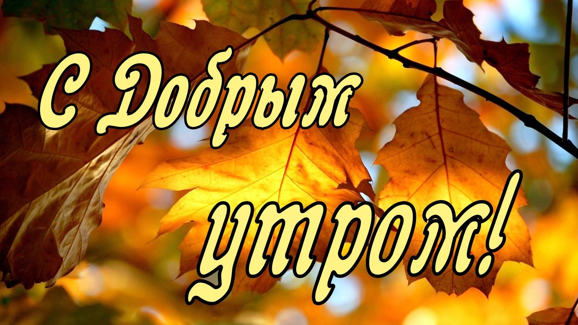 Красивые и Осенние Открытки с Добрым Утром 💐 с Пожеланиями Добра и Хорошего Дня!