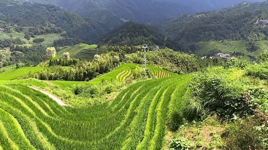 Рисовые террасы Лунцзи