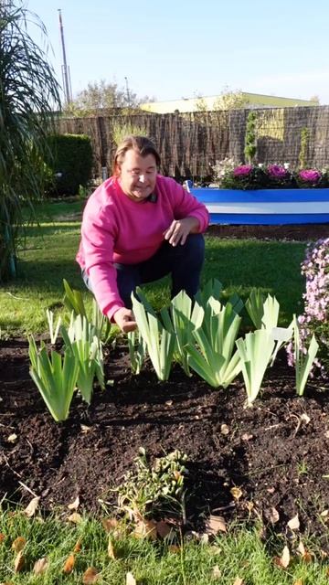 Обрезаем бородатые ирисы. 🌸