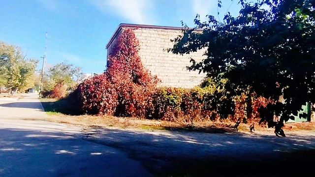 Улицы и районы Керчи. Старый карантин.