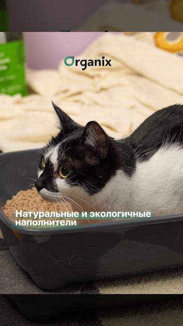 Organix – наполнители для кошачьего туалета 🐈