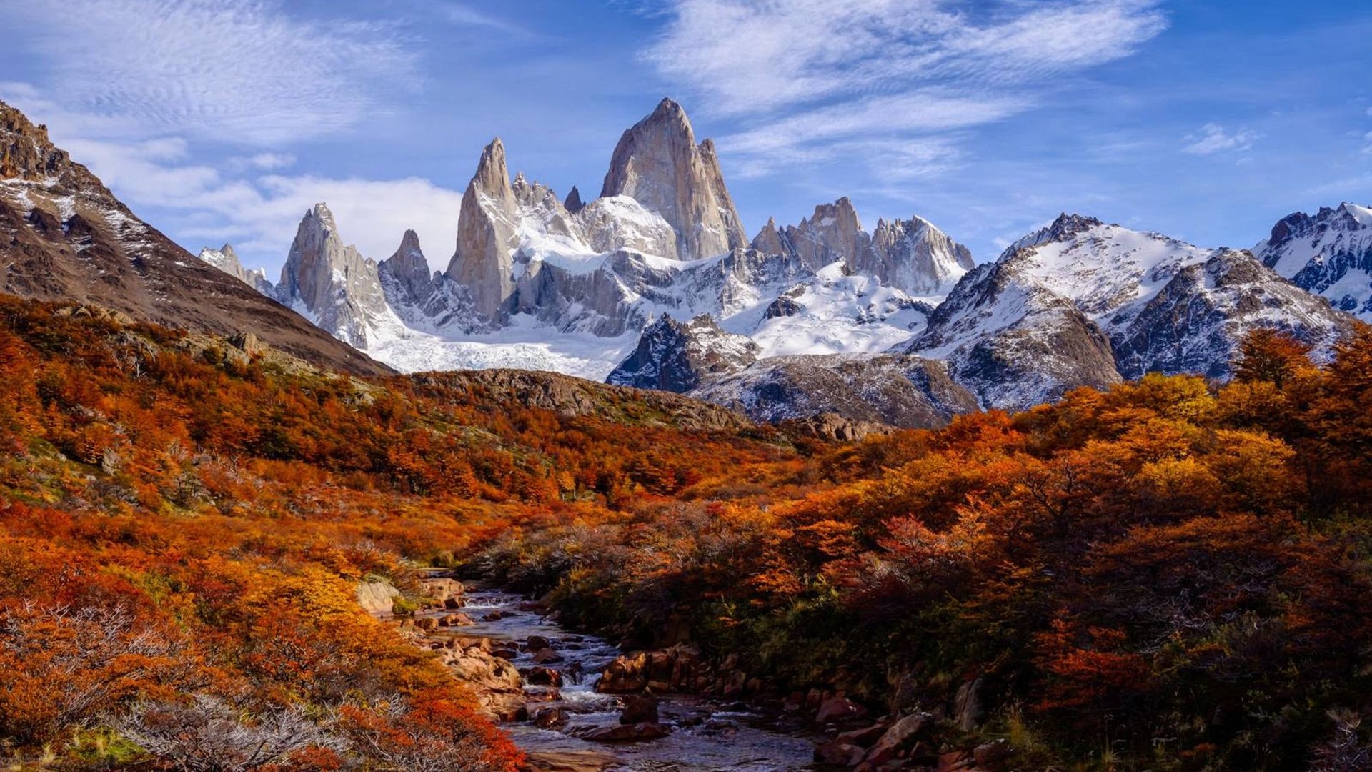 Брамс Иоганнес. Симфония №1 / Johannes Brahms