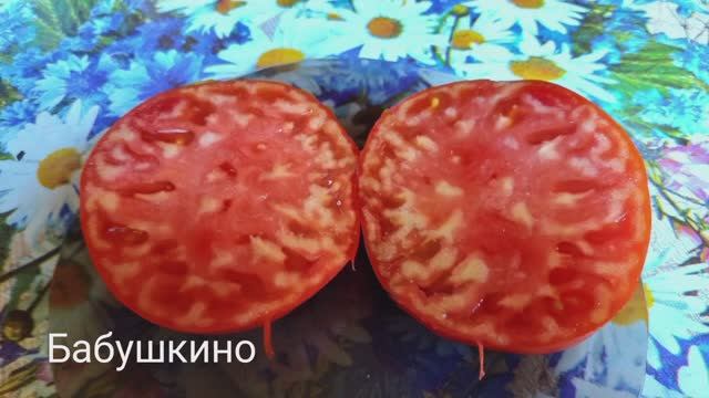 Томат Бабушкино оказался не так хорош
