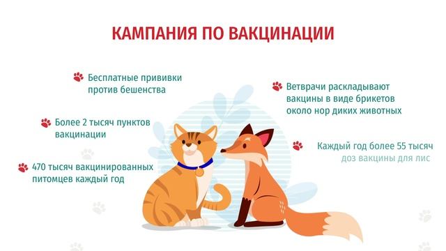 31 августа - День ветеринарного работника России | Что делают столичные ветеринары