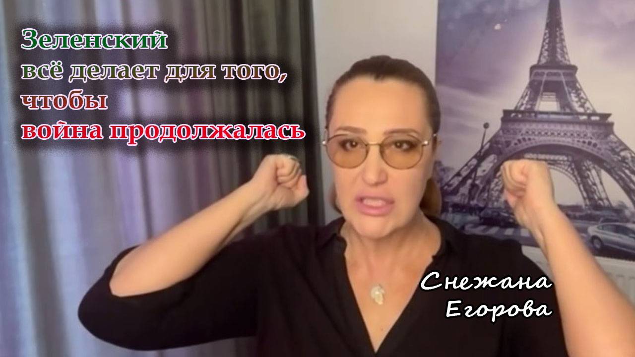 Снежана Егорова. Зеленский всё делает для того, чтобы война продолжалась