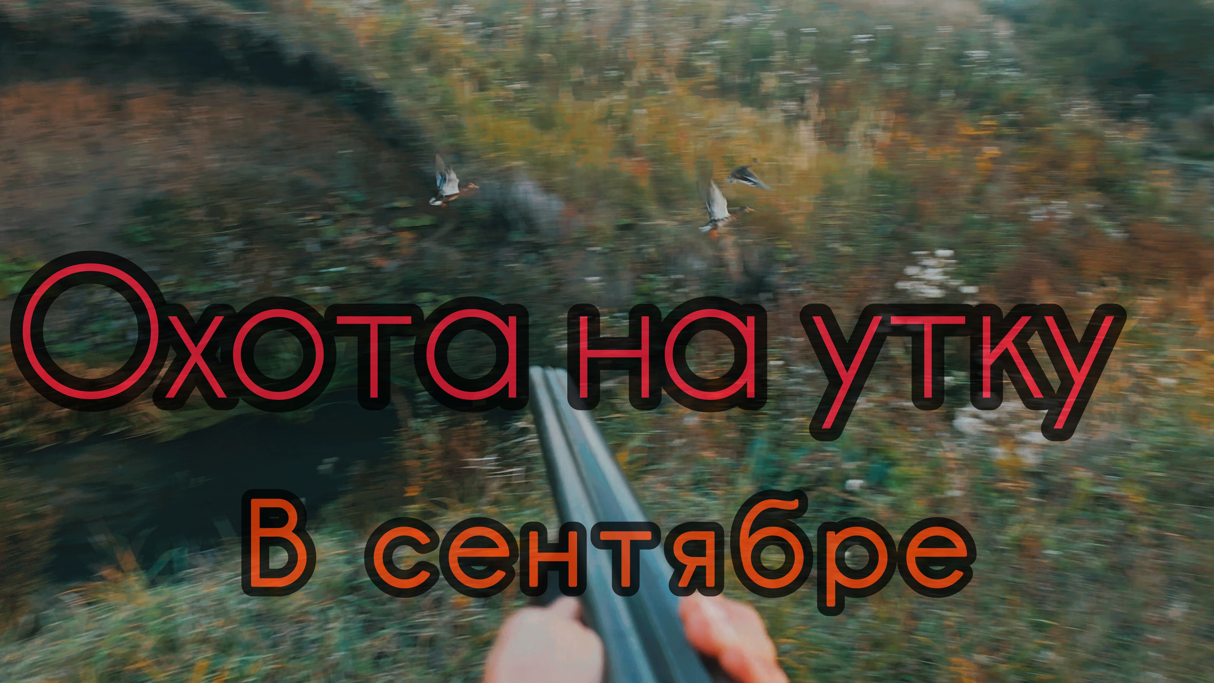 251-Охота на утку в сентябре (23.09.2025)