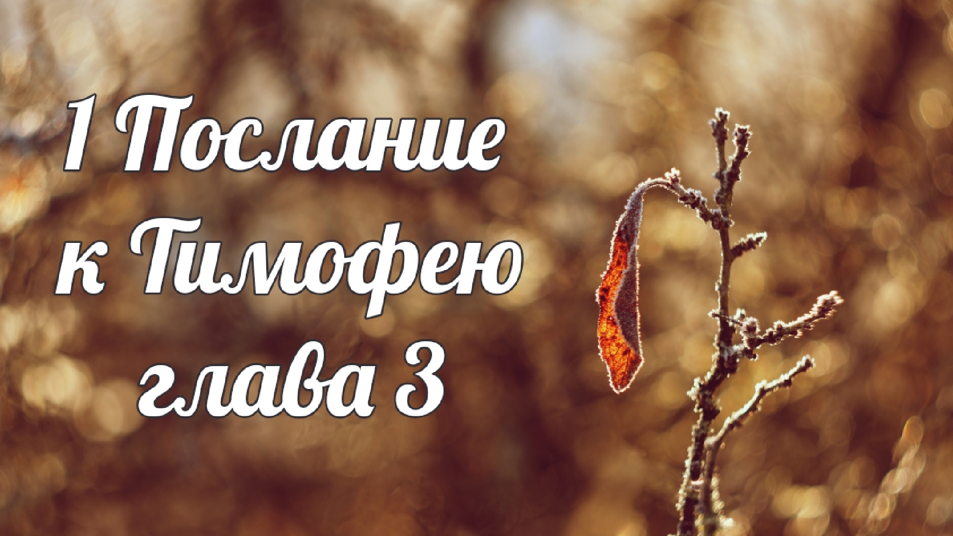 2 Послание к Тимофею глава 3