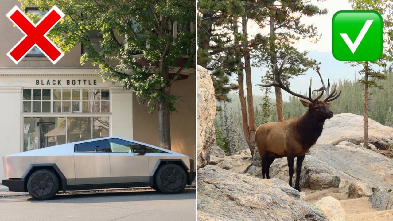 В национальный парк США без машины — худшая и лучшая идея одновременно