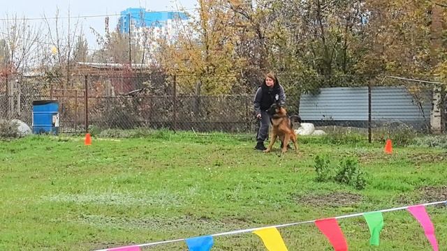 2 Отл. СС ZORAN Big Hause Arlett Лучшая защита! №17. РОСТОВ-НА-ДОНУ 19 октября`25 Моно