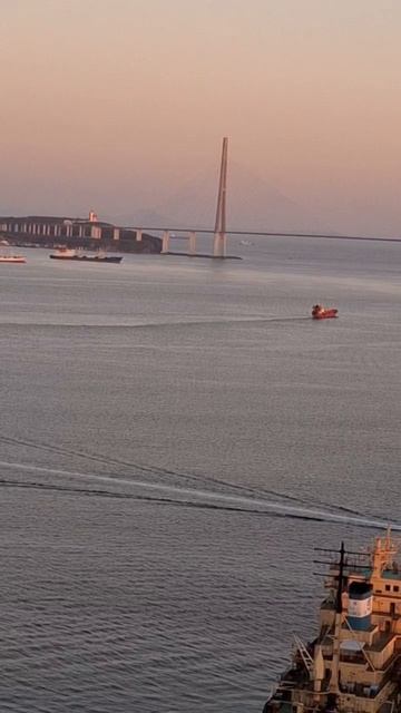 Красавец «Надежда» на рейде Владивостока: смотрите, пока не уплыл