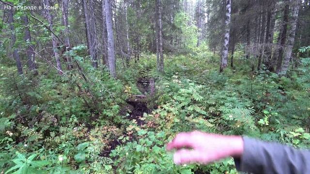 Проверил озёра. ТО трицикла в полевых условиях. 2 серия