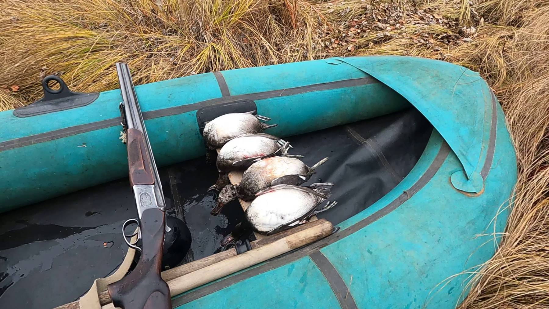 Утиная охота \ В ожидании перелёта  14.10.2025  ( продолжение )