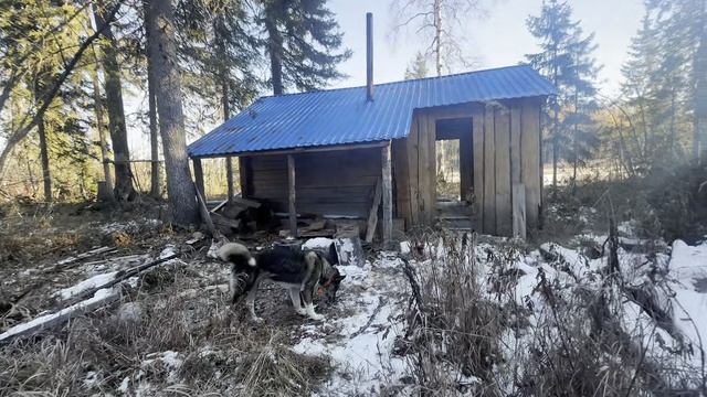 #ПРОМЫСЛОВИКИ ВЫПУСК 15 //ЧАСТЬ 2//