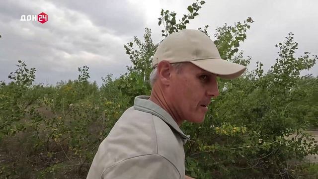 Станица-на-Дону 24.10.2025