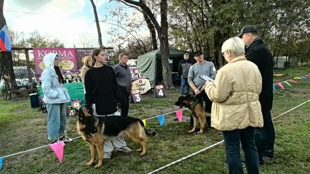 ОТКРЫТЫЙ КОБЕЛИ / КЧК РОСТОВ-НА-ДОНУ 19 октября`25 Е.Пудеев Моно немецких овчарок