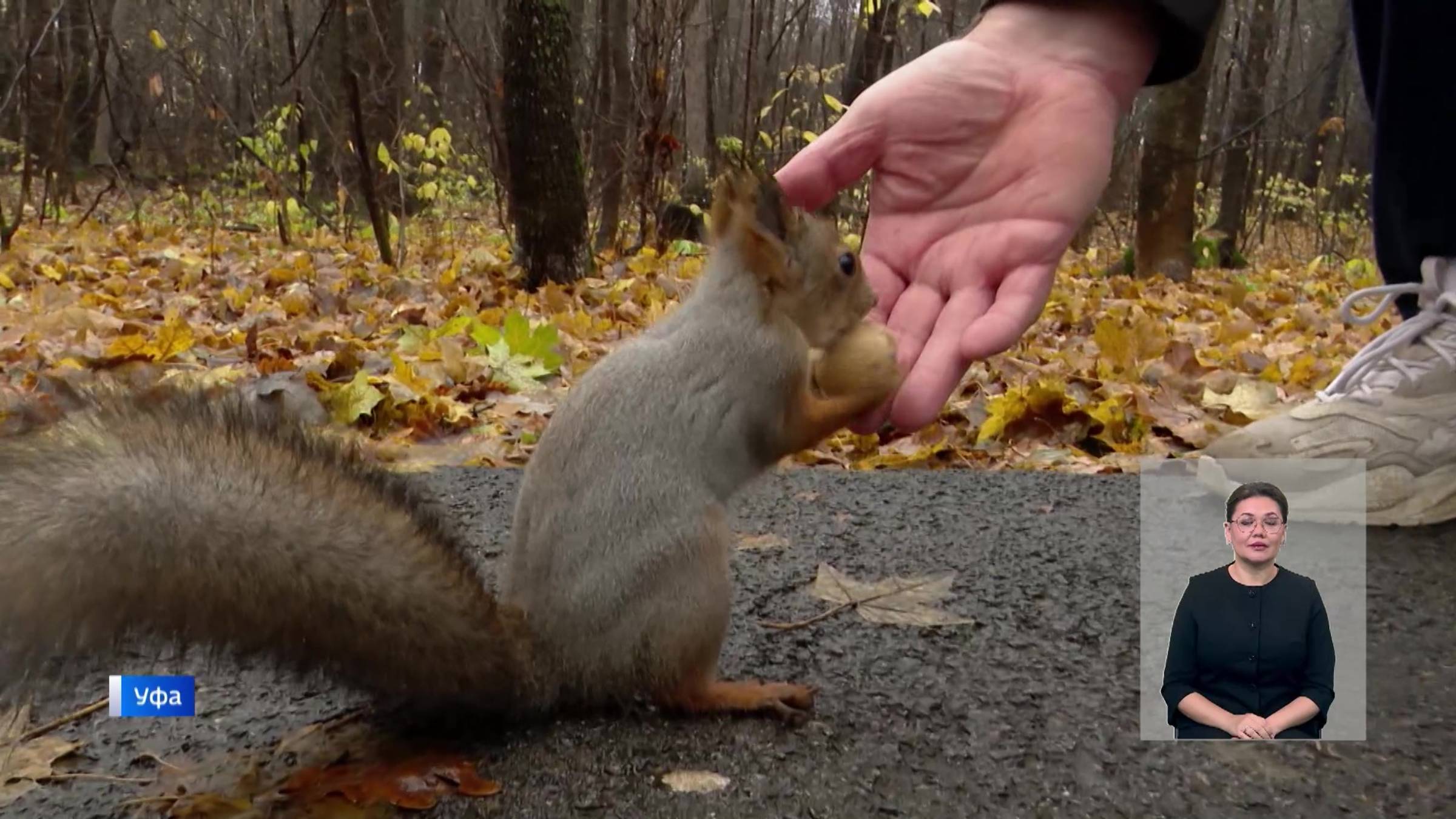 Уфимские Вести - 24.10.25