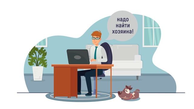 Сервис поиска домашних животных на mos.ru