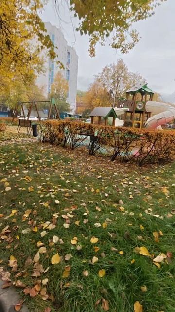 🍁❤️немного красивой осени, а то скоро облетят листья и будут дожди #осень #рек #топ #красиво #природ