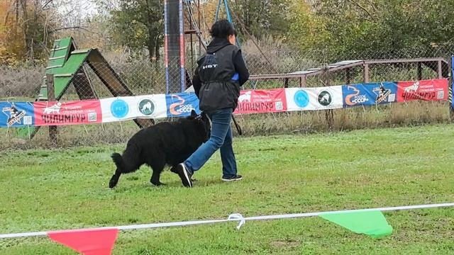 1 Отл. КЧК Нордхейм САЙЛОС Лучшая защита! №36. РОСТОВ-НА-ДОНУ 19 октября`25 Моно немецких овчарок