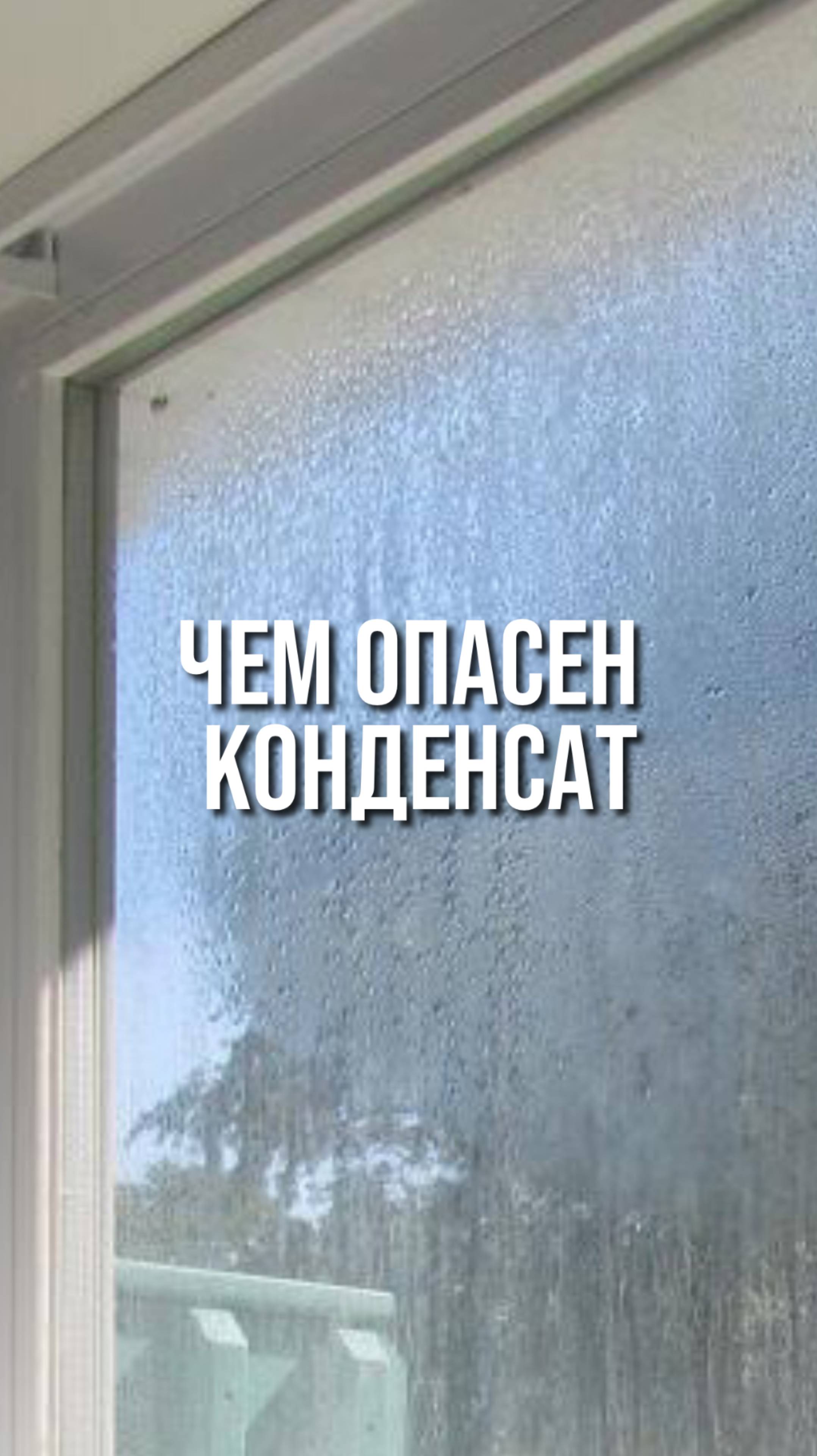 ЧЕМ ОПАСЕН КОНДЕНСАТ В ВАШЕМ ДОМЕ?