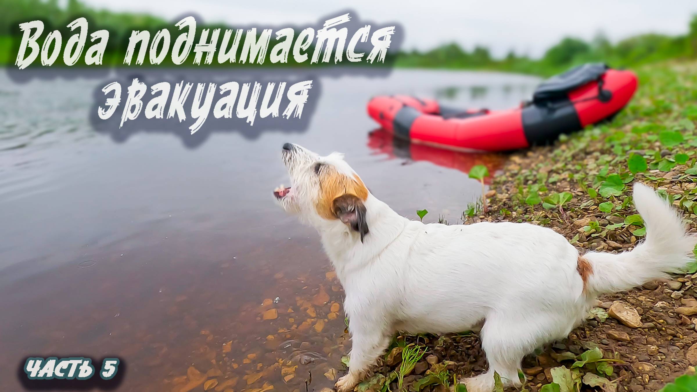 Река не пускает | Северный Тиман 2025