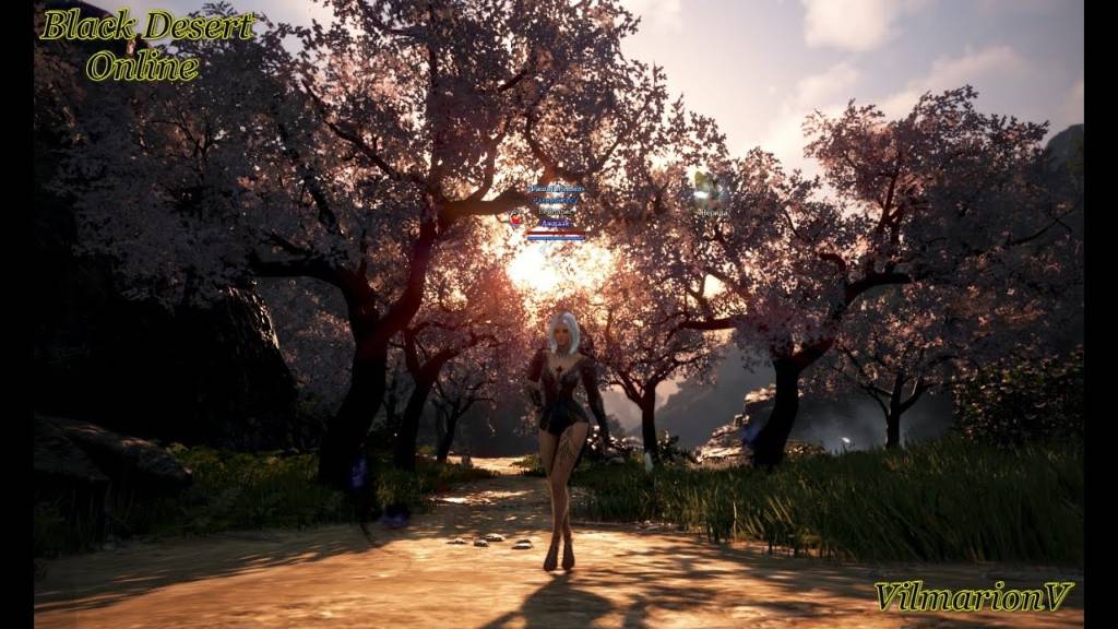 BDO ч.8 (Сравнение классов при фарме) ПВЕ Гайд:скилы,морфы на Шаю и Мастера меча