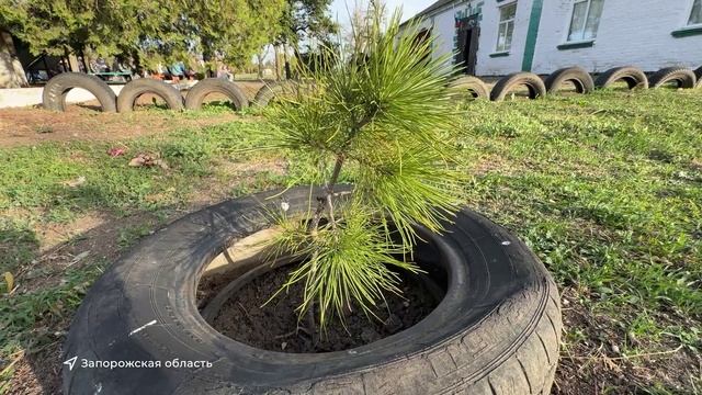 Красный обоз:  Приазовский район Запорожья