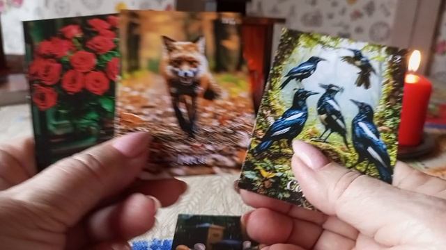 карта дня на 25 октября