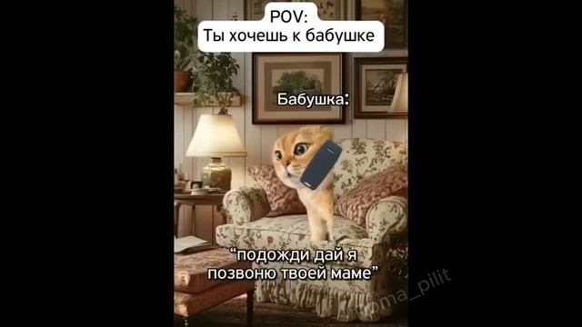 Бабушка #кот #животные #смех #юмор #ржака