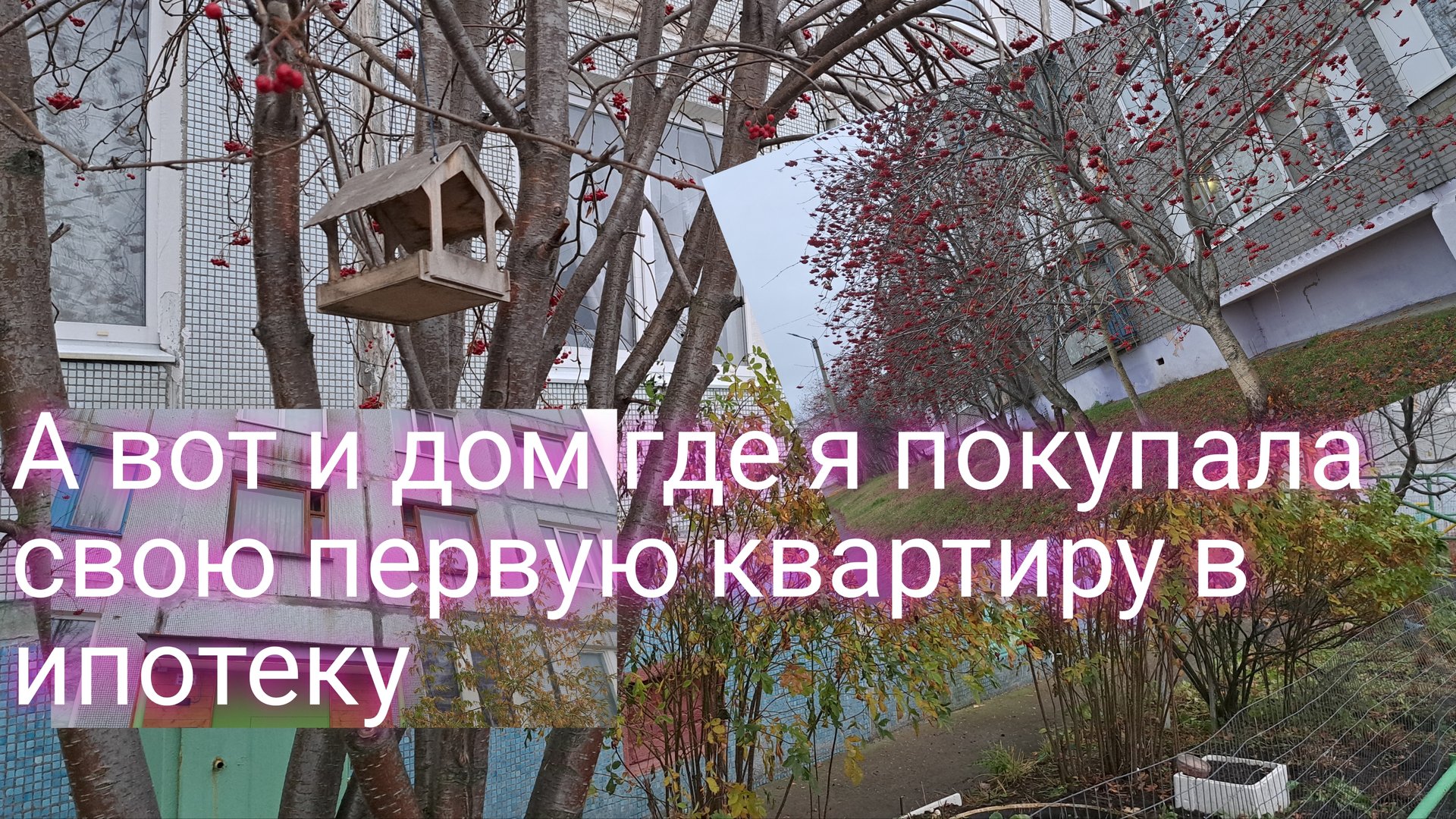 А вот и дом где я покупала свою первую квартиру в ипотеку