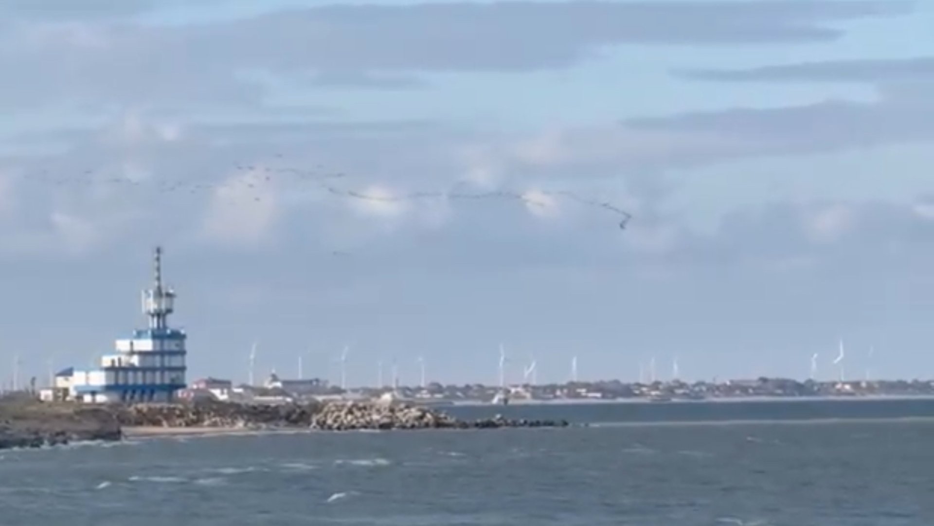 🦆 Осенний полёт птиц на берегу моря — зрелище, которое вдохновляет!💫