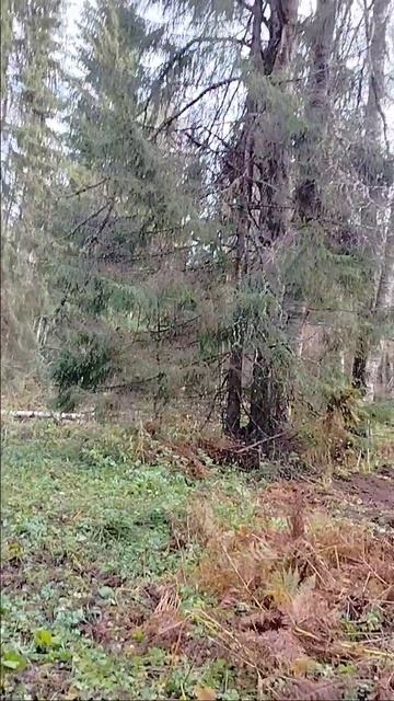 граната ргд 33 взрыв💥💣